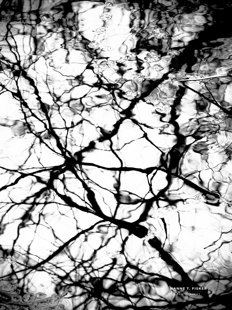 Obscure (I) – Hanne T. Fisker Photography Art