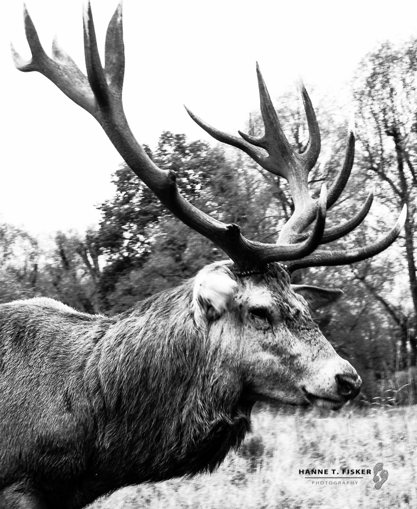 Traces Of Time – Hanne T. Fisker Photography Art