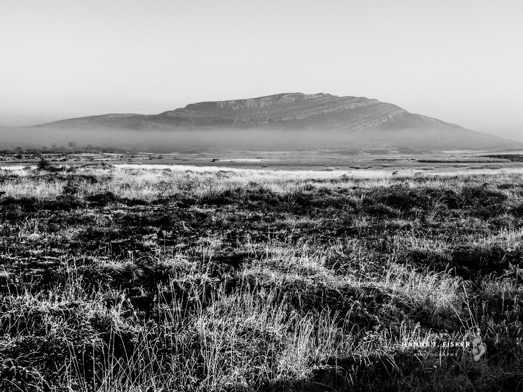 “Fertile Rock” – Hanne T. Fisker Photography Art