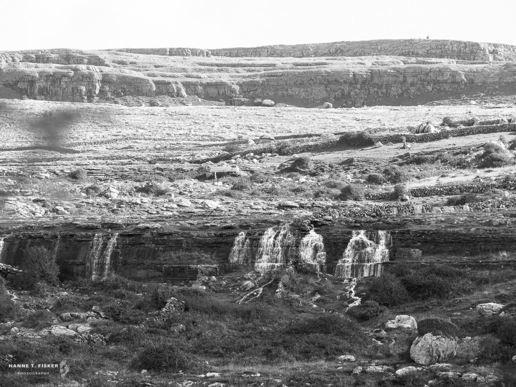 After Rain – Hanne T. Fisker Photography Art