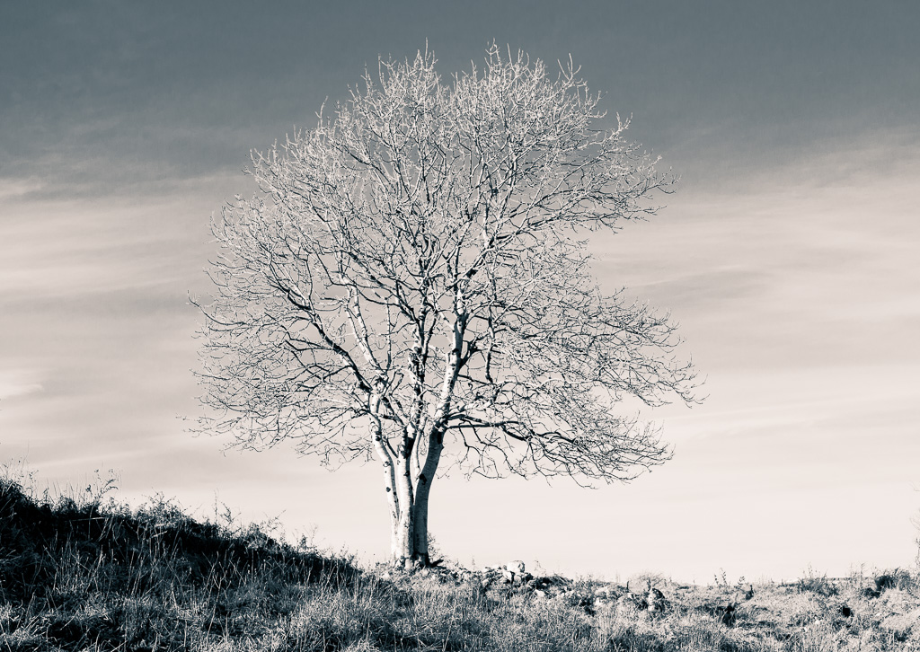 Winter Tales From Behind The Lens – Hanne T. Fisker Photography Art