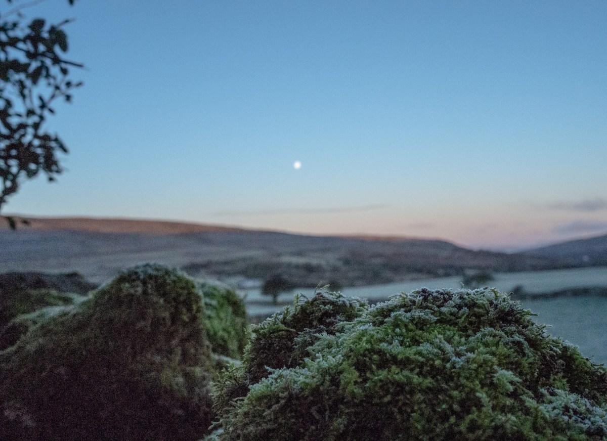 Winter Light and Subtle Colours – Hanne T. Fisker Photography Art