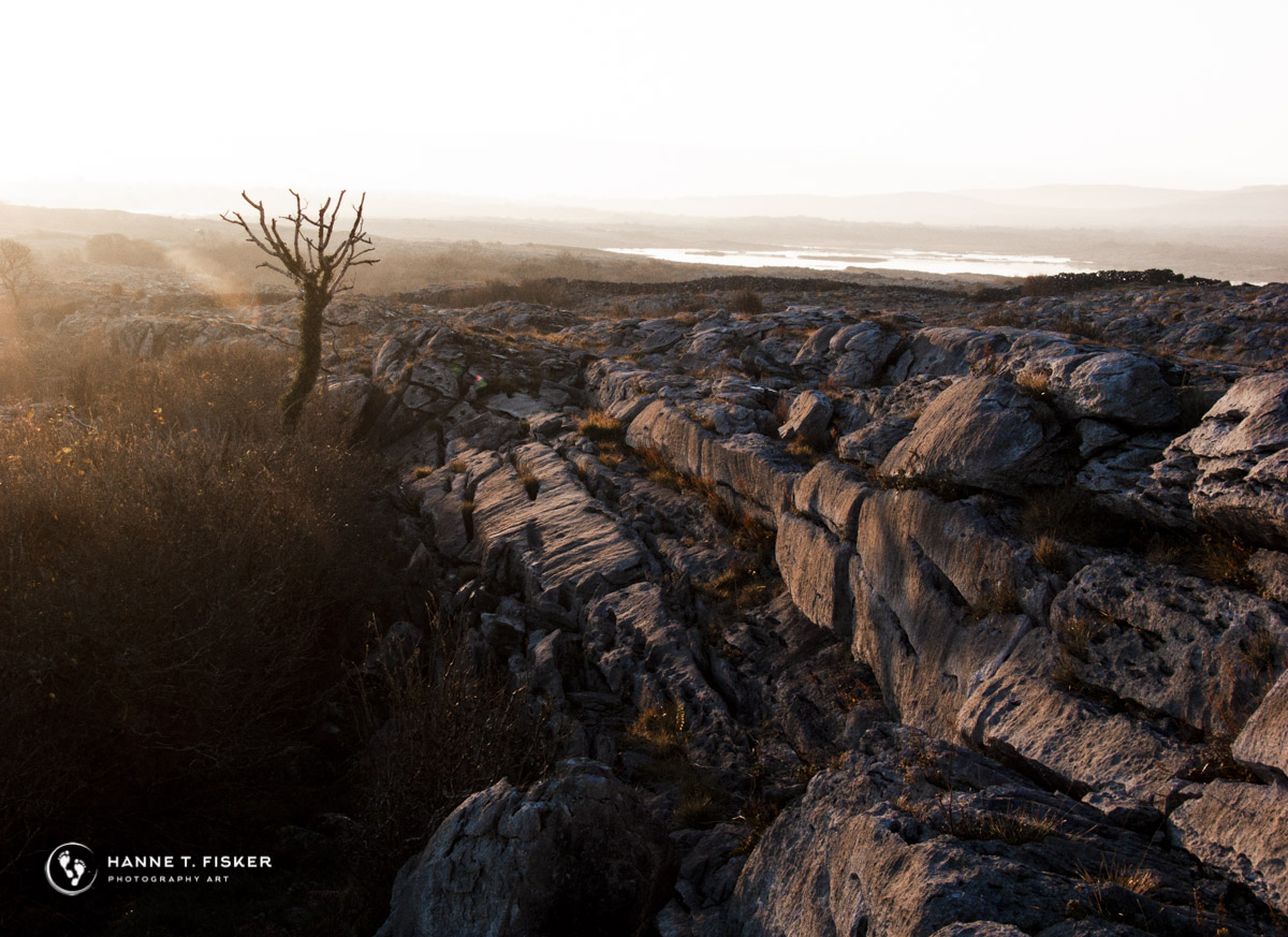 Golden Hour – The Burren – Hanne T. Fisker Photography Art