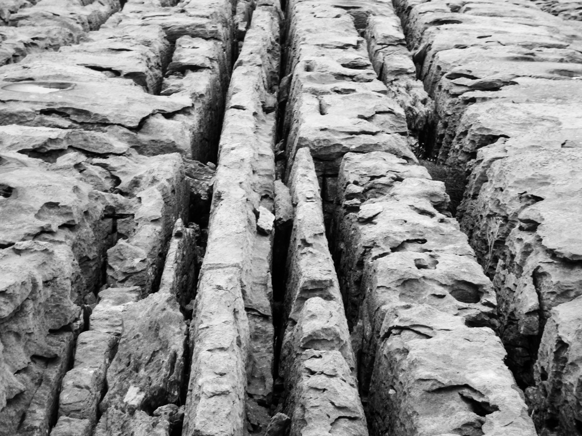 “That’s How The Light Gets In” – Hanne T. Fisker Photography Art